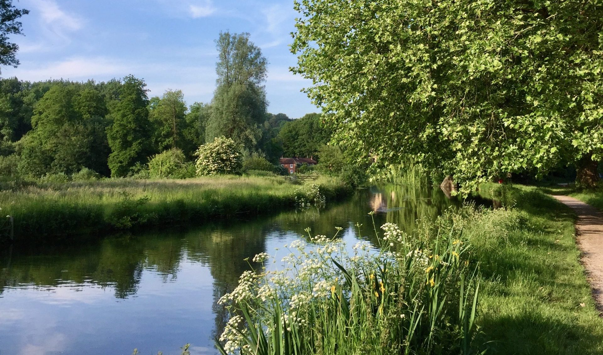 Wild Swimming Spots Near Cedar Valley - Cedar Valley